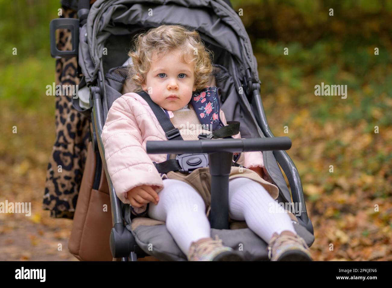 Little girl sits in the stroller and waits what will happen next in the ...