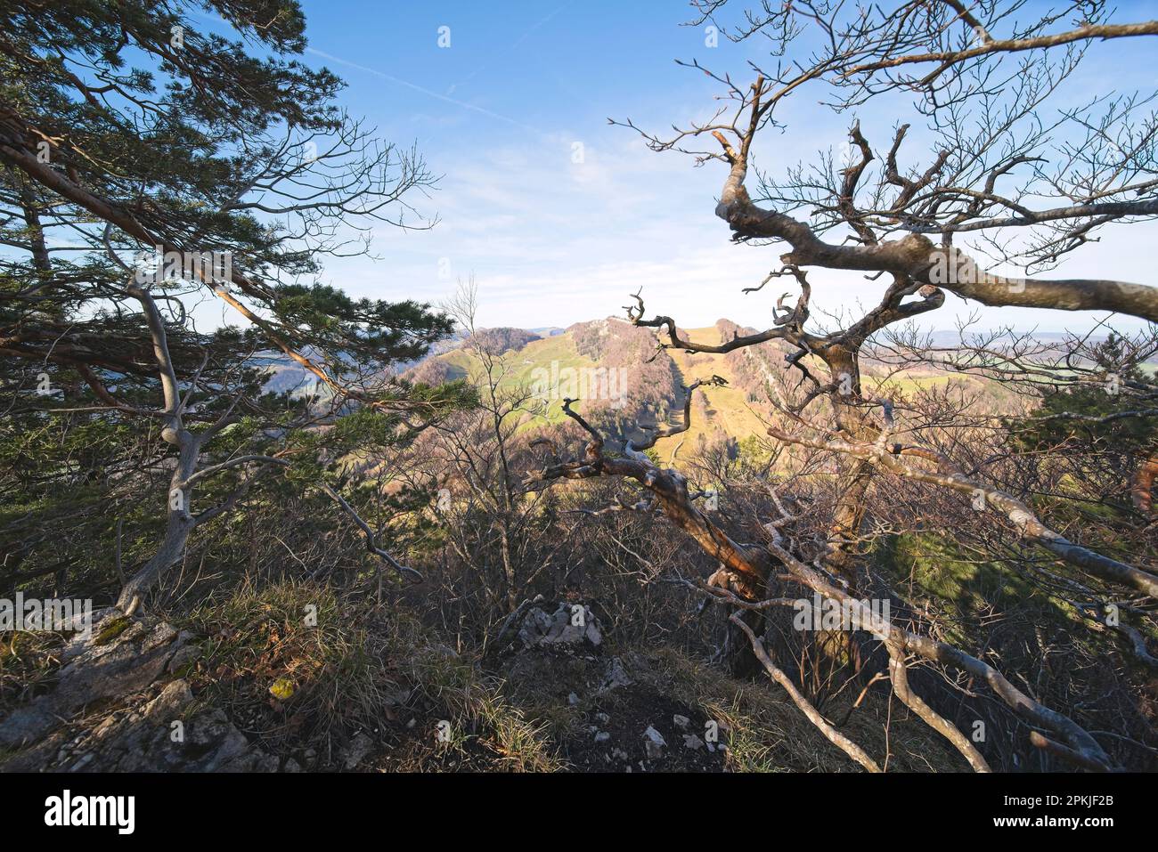 the viewpoint "Chellenchöpfli" in the canton basel landscape in ...