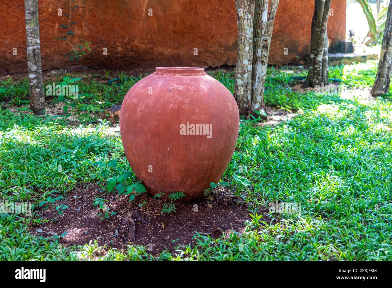 Clay jar next to a stone building in the middle of the rainforest ...