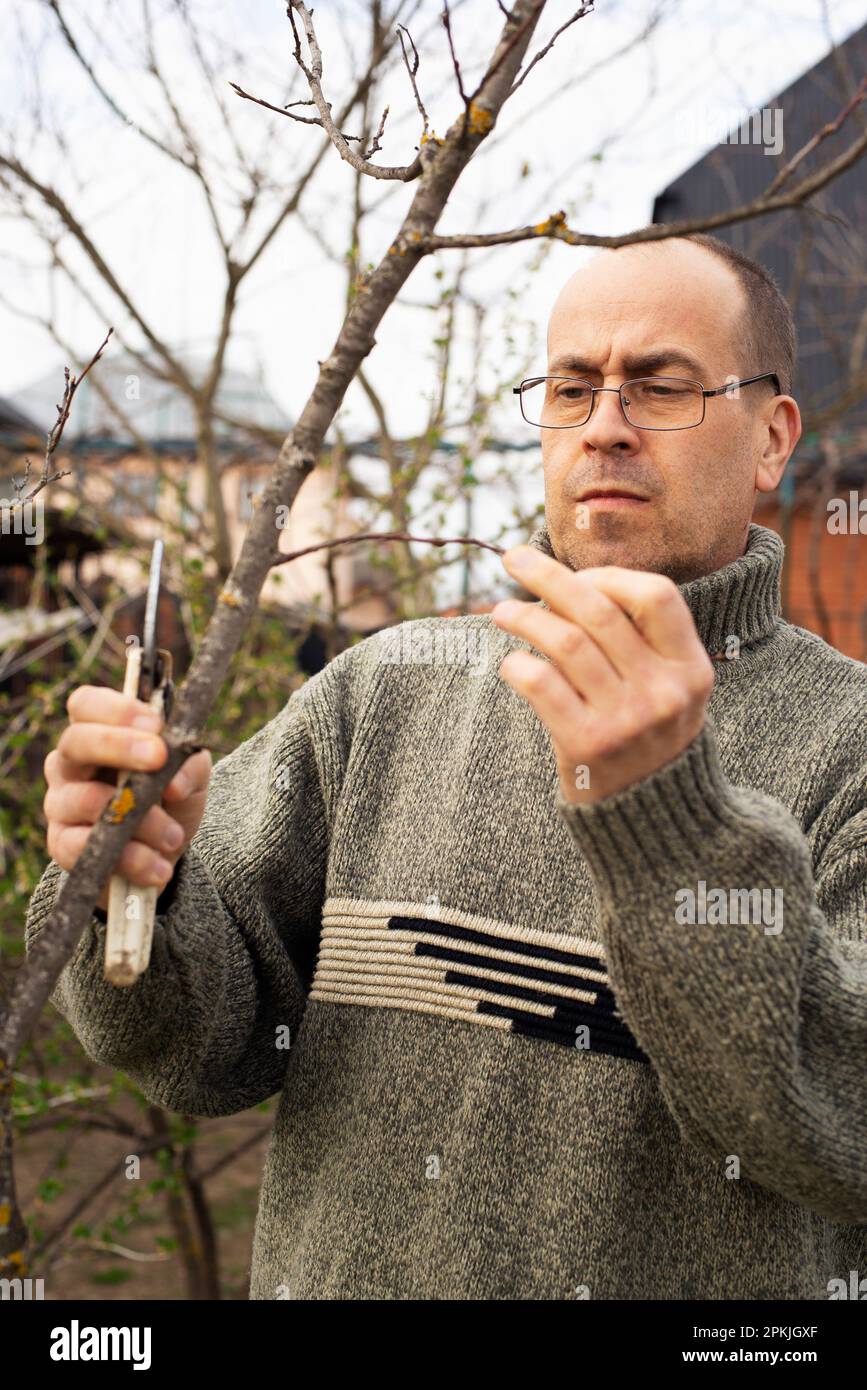 Pruning palm trees hi-res stock photography and images - Alamy