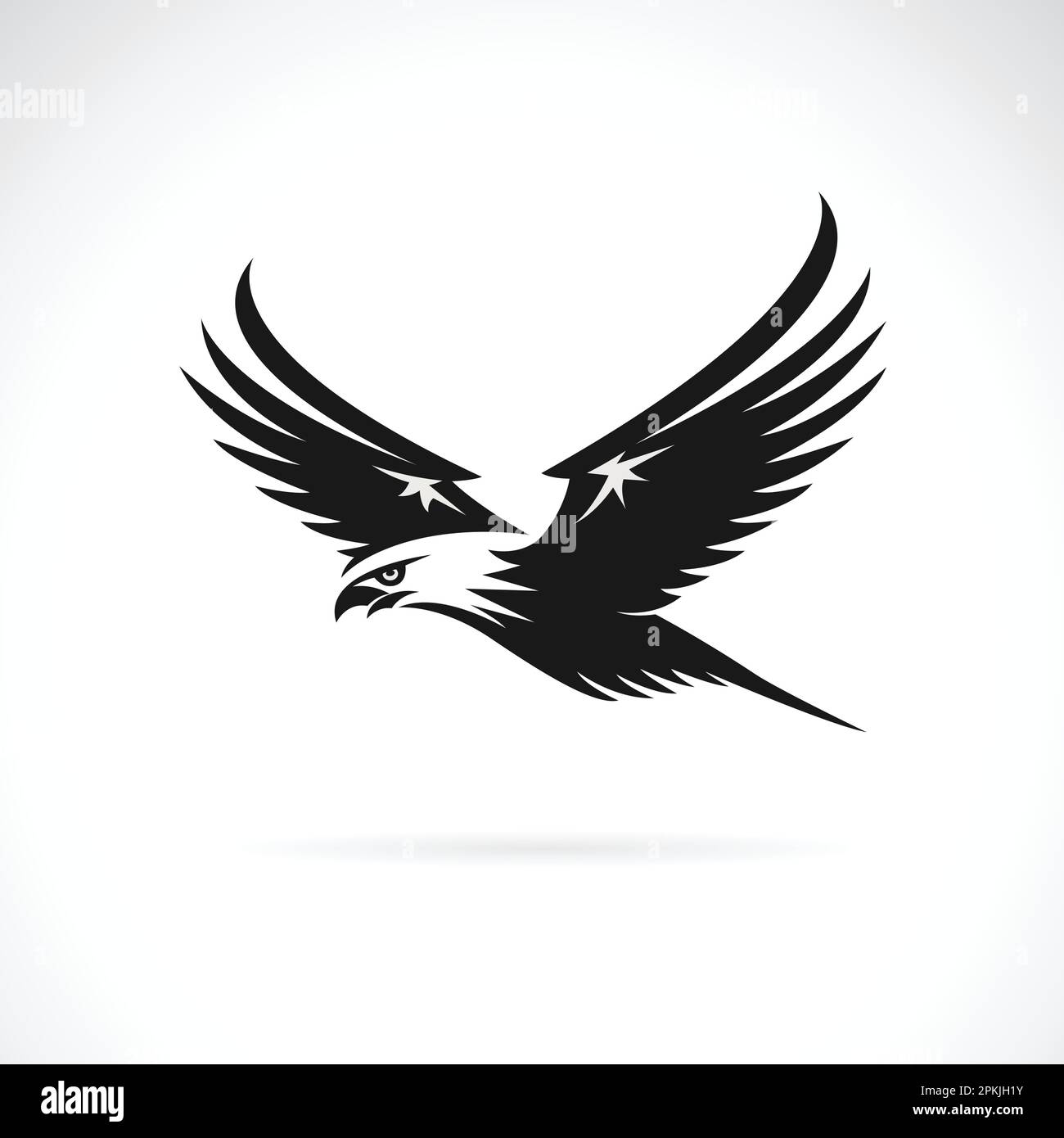 Vector of an eagle design on white background. Easy editable layered ...