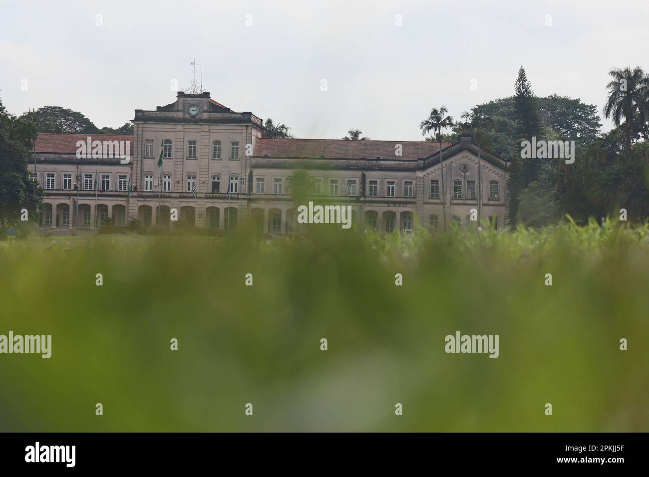Piracicaba, Sao Paulo, Brazil - january, 15, 2023 : Famous brazilian ...