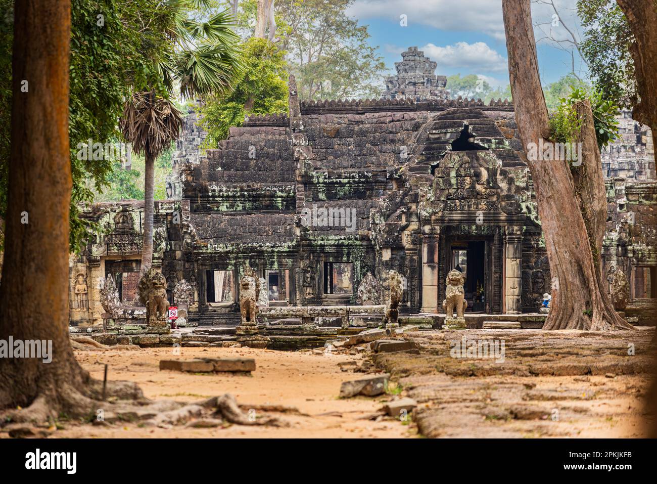 Amazing Ta Prohm temple with giant banyan trees. Angkor Wat complex ...