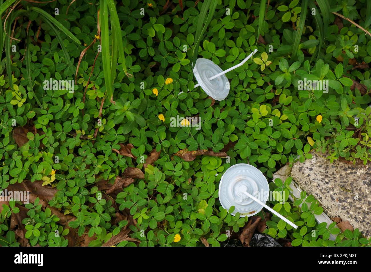 waste of plastic cups and straws in a city park Stock Photo - Alamy