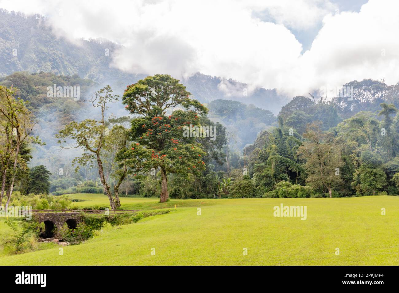 Green landscape of Handara, Bedugul, Gianyar, Bali, Indonesia Stock ...