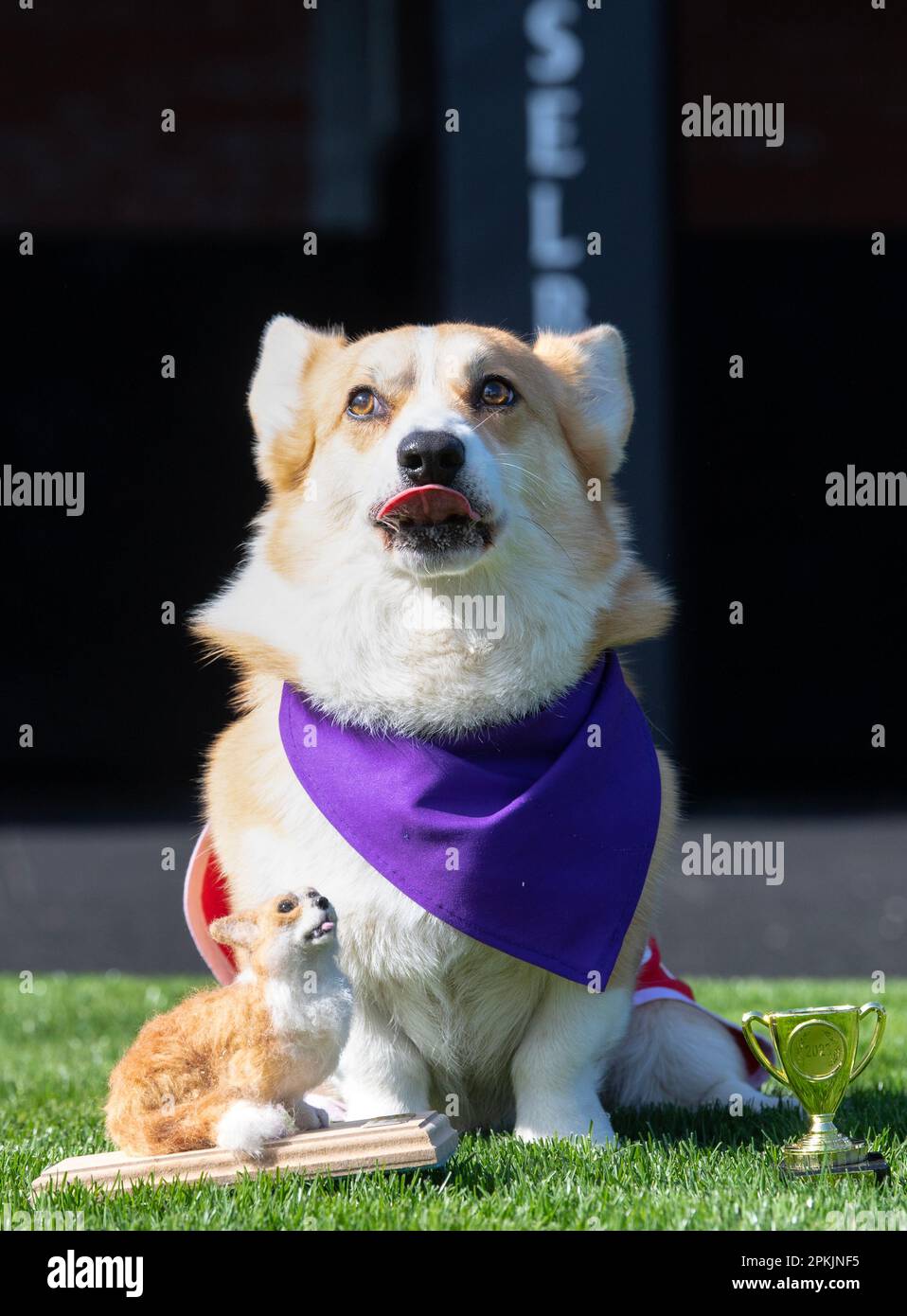 The winner the derby race date hi-res stock photography and images - Alamy