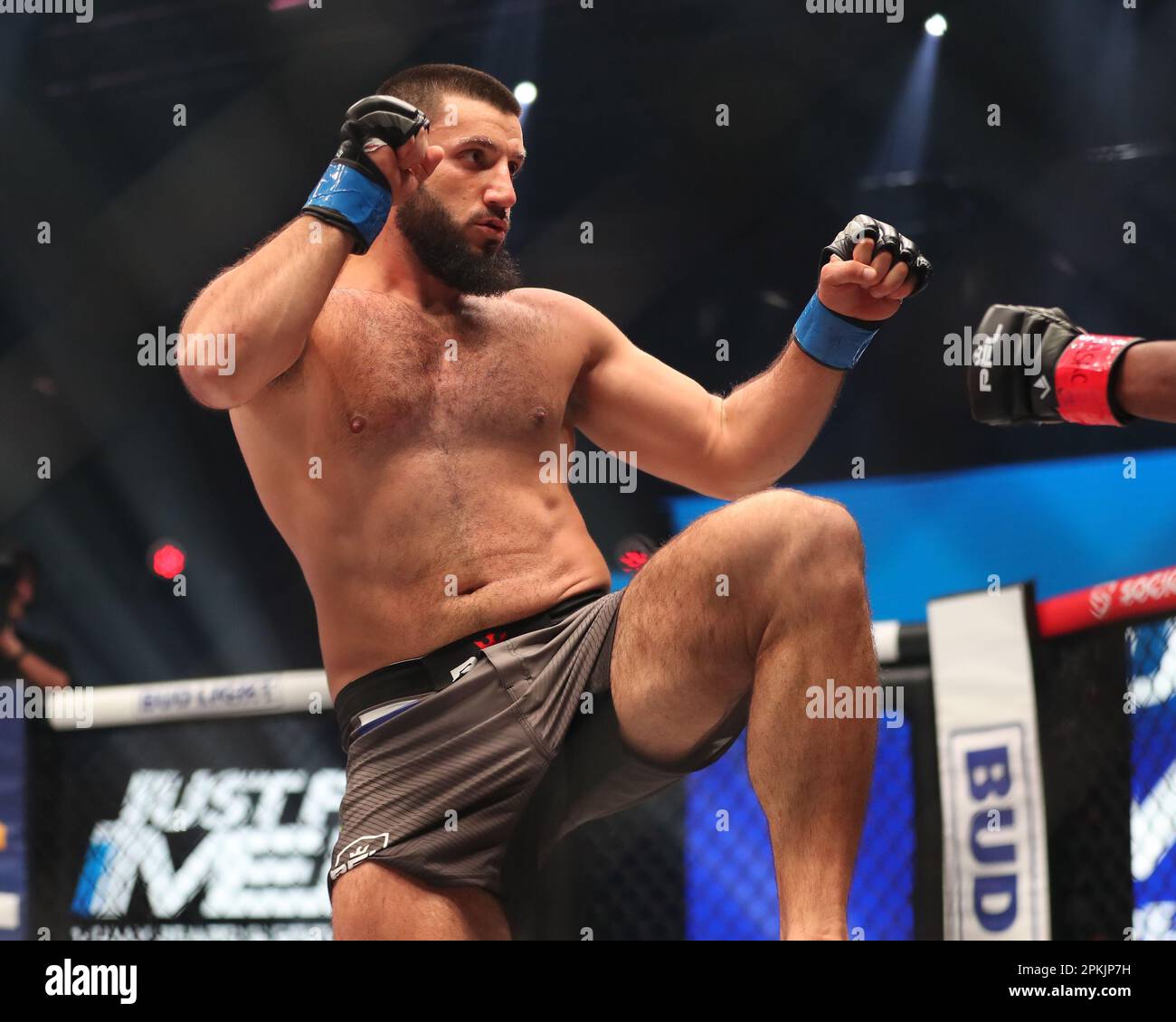 LAS VEGAS, NEVADA - APRIL 7: Renan Ferreira and Rizvan Kuniev meet in the octagon for their ...