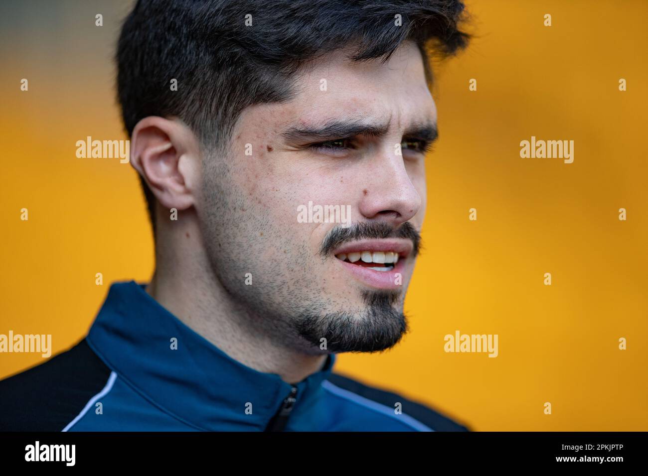 Pedro neto wolves 2023 hi-res stock photography and images - Alamy