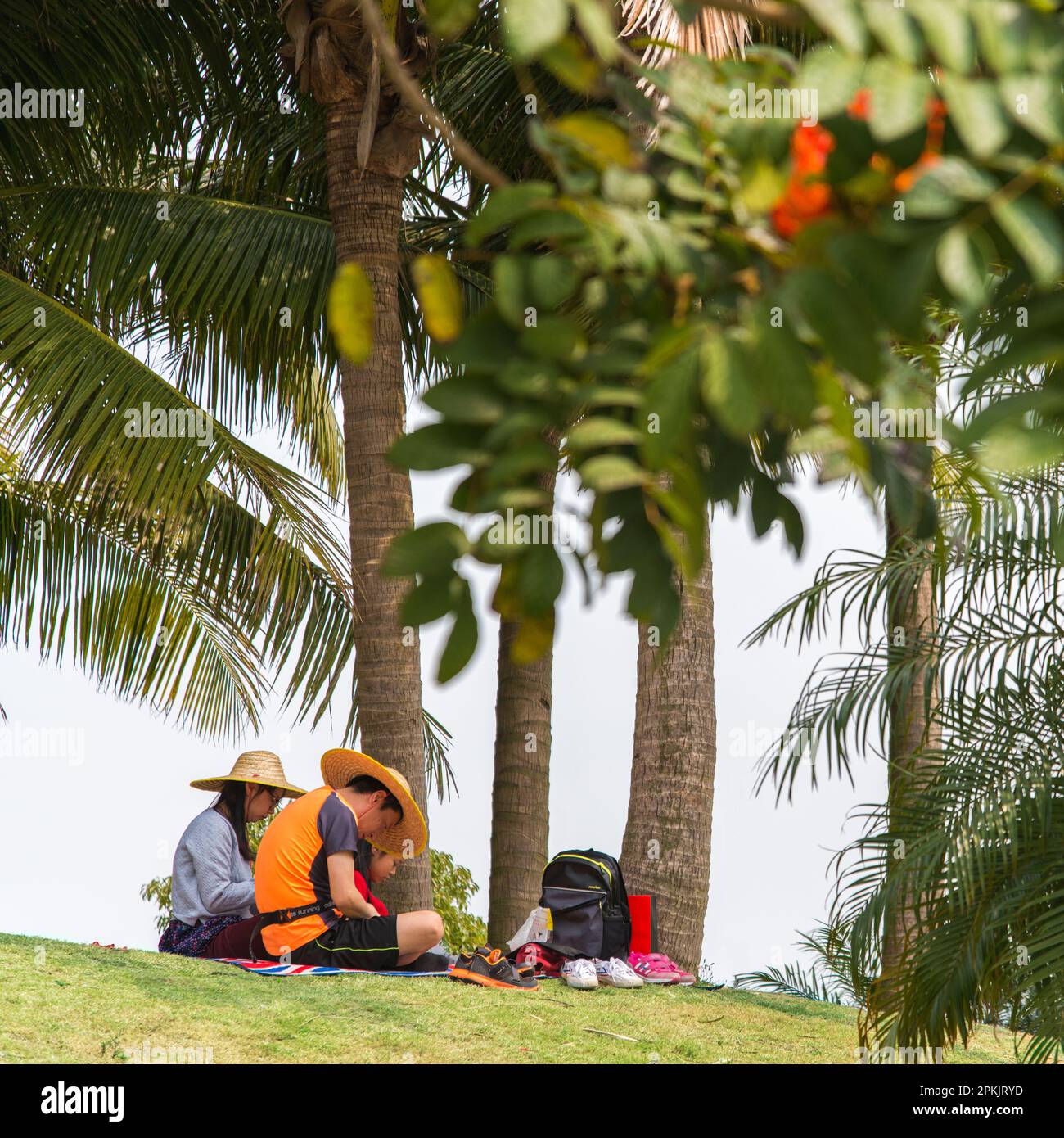 Family picnic or social isolation through screen time Stock Photo - Alamy