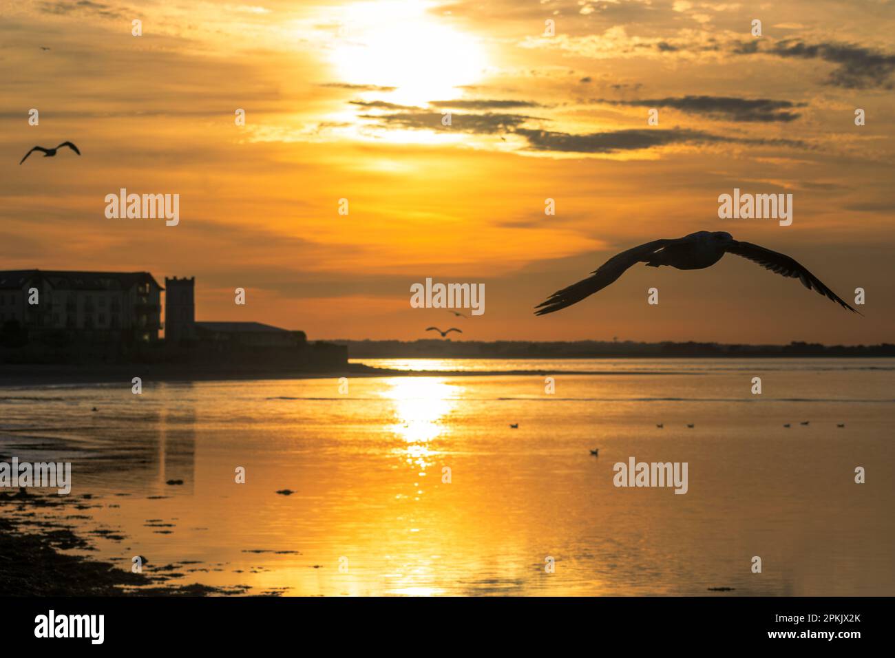 Claremont beach hi-res stock photography and images - Alamy