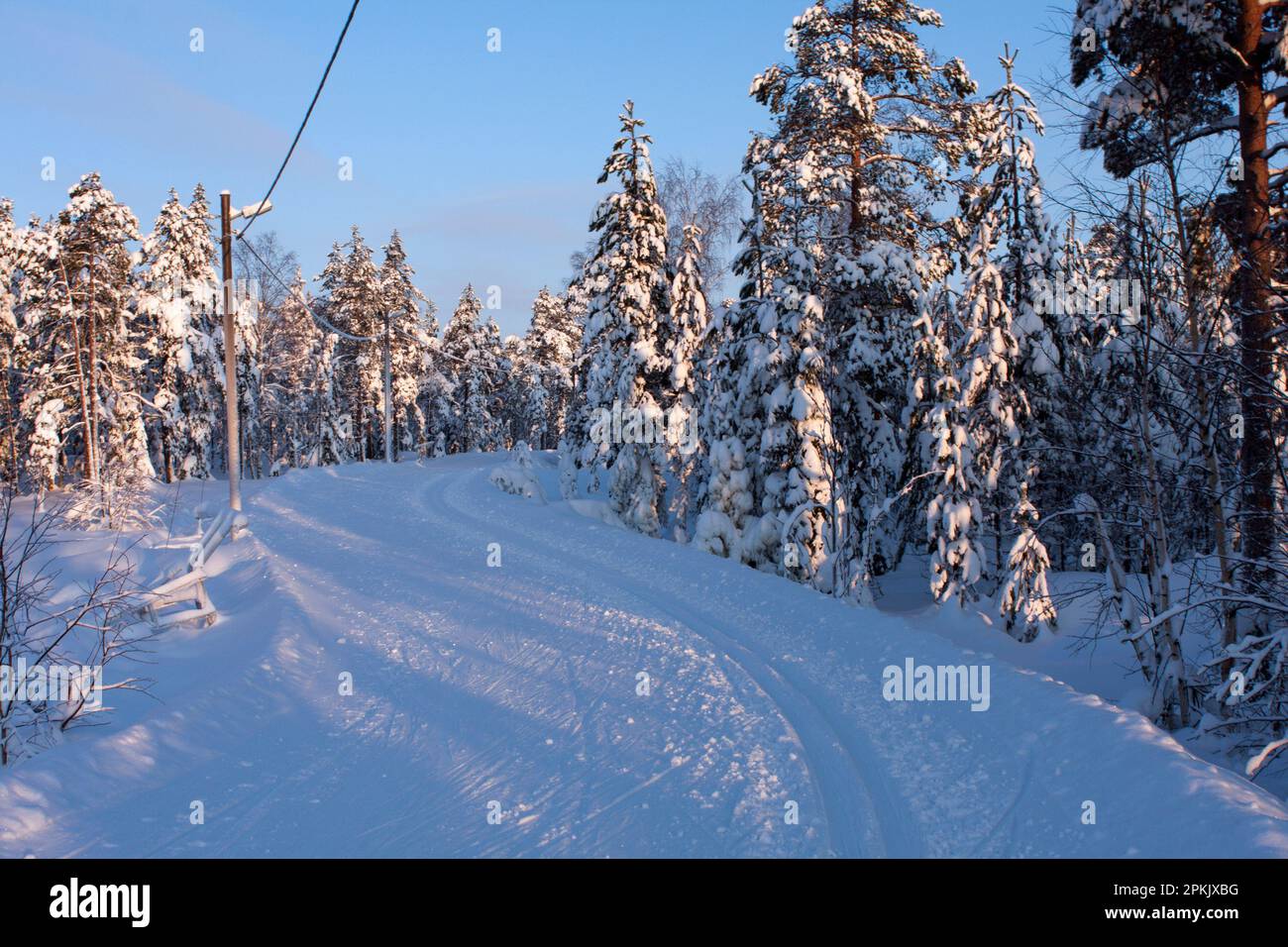 Cross-country and skate trails in the newly fallen white and cold snow ...