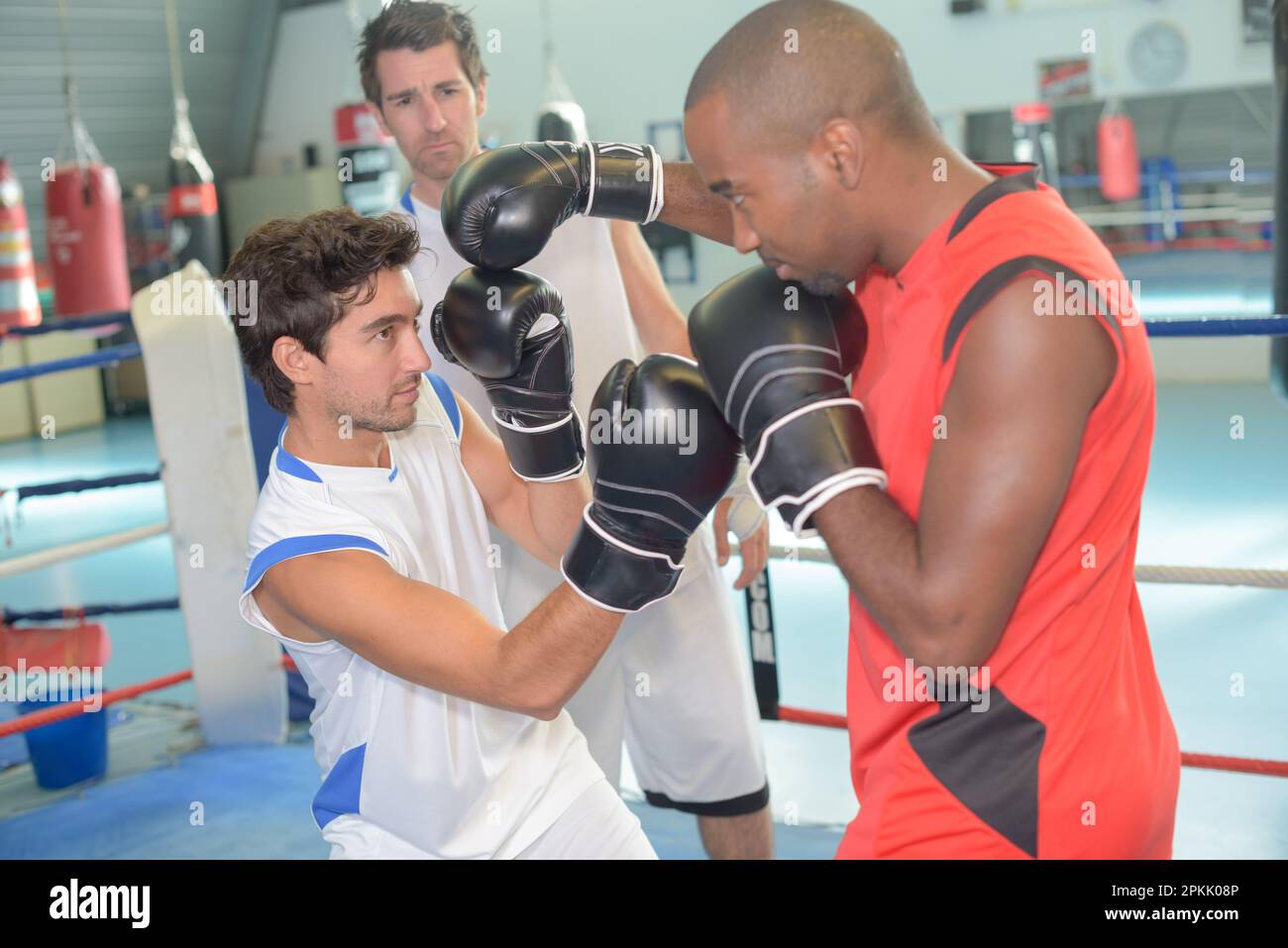 portrait of boxers doing the drill Stock Photo - Alamy