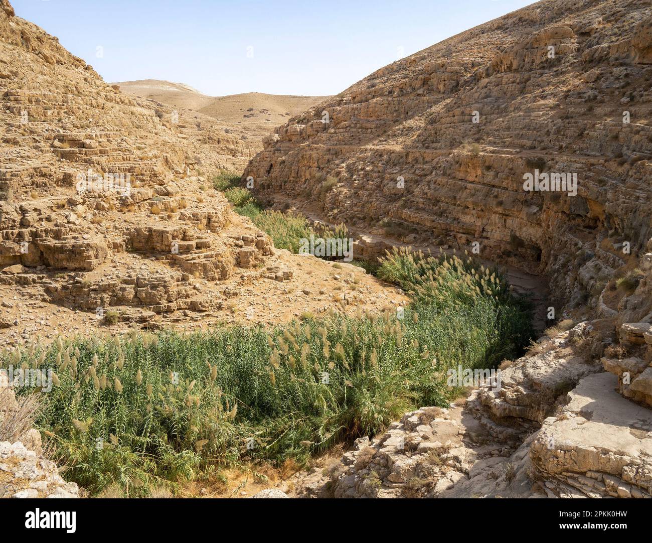 Rush bottom hi-res stock photography and images - Alamy