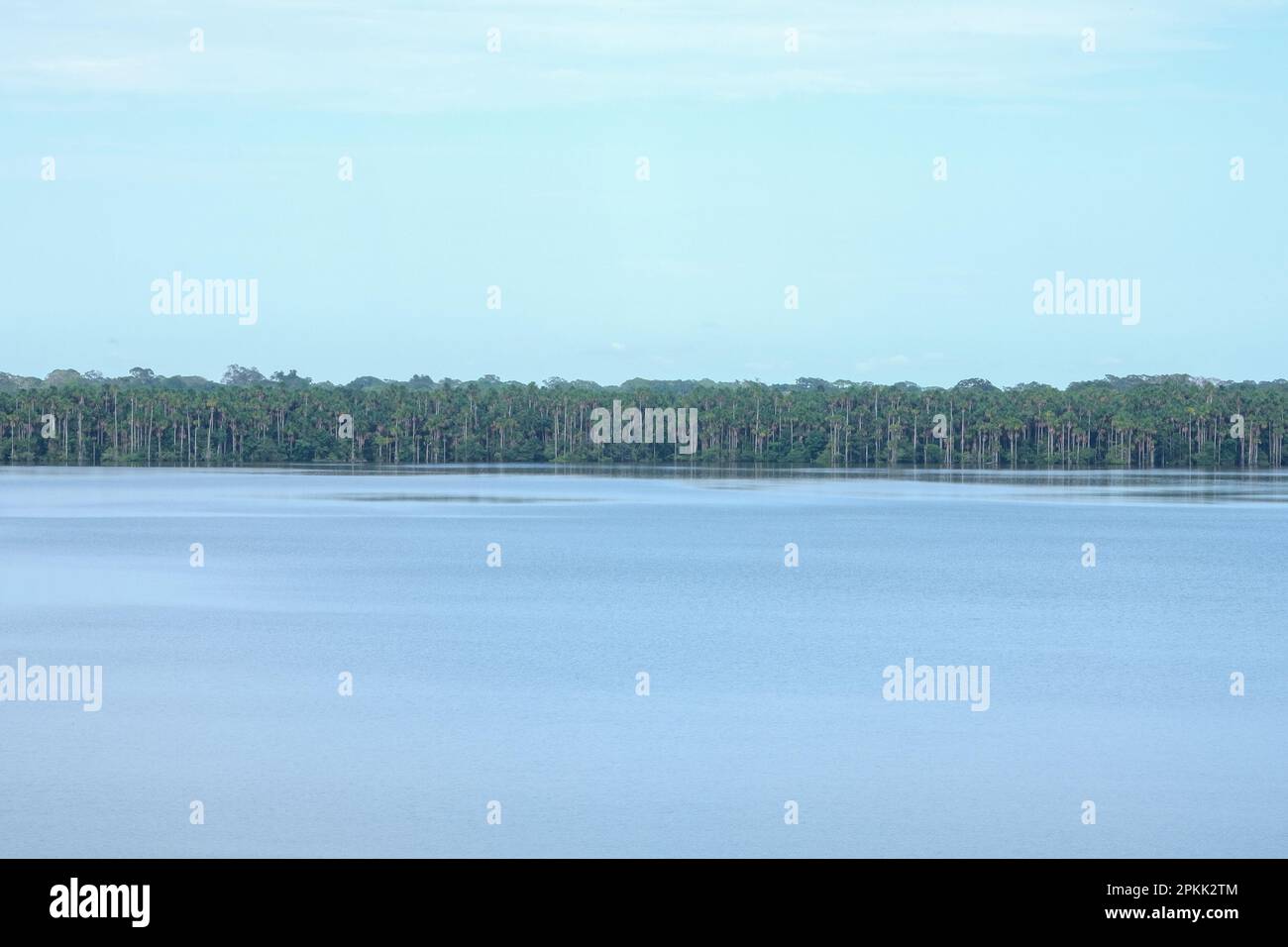 Sandoval Lake landscape view with water, sky and palms. Aerial drone ...