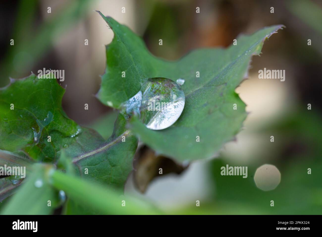 Science, Microphysics and Meteorology - Close-up of a spherical ... Science, Microphysics and Meteorology - Close-up of a spherical ...