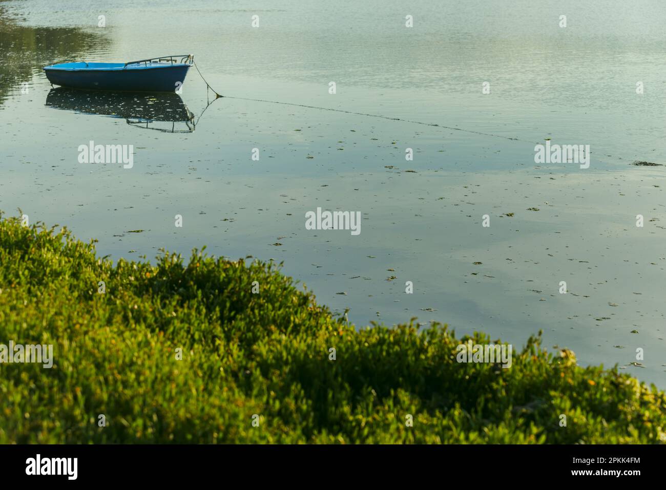 A small blue raft tied with a rope on the surface of the water Stock ...