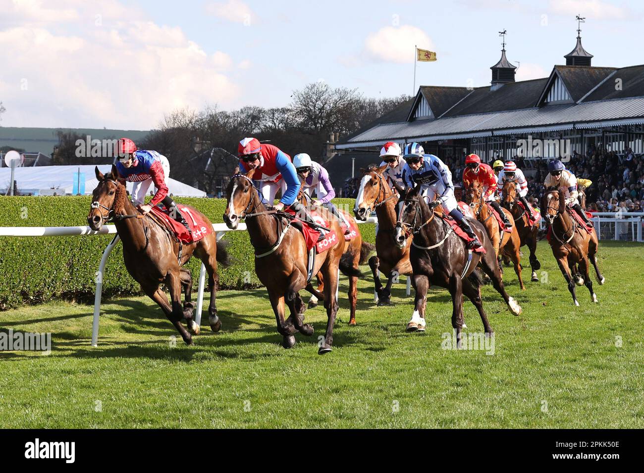 Runners and riders in the Tote Summer World Pool Queen's Cup (Heritage ...