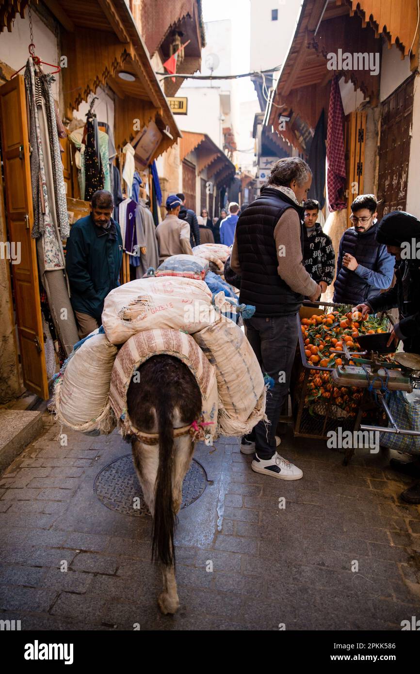 A donkey loaded with packages walks through a narrow alley in Fez ...