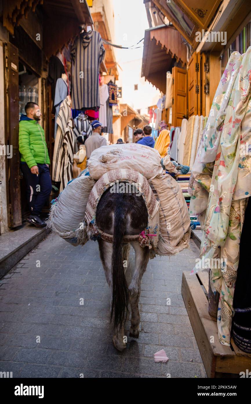 A donkey loaded with packages walks through a narrow alley in Fez ...