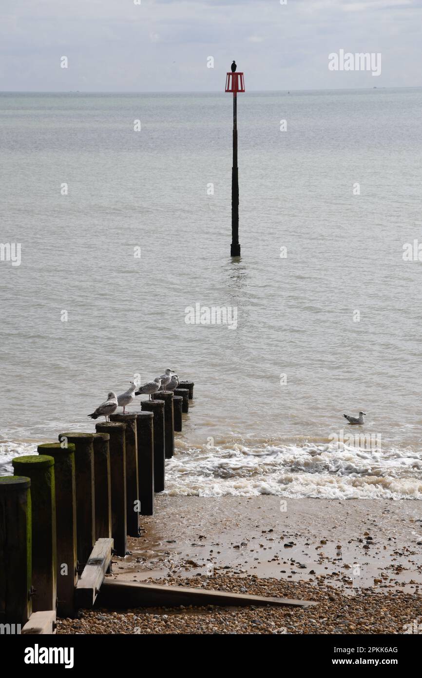 Low tide channel hi-res stock photography and images - Alamy