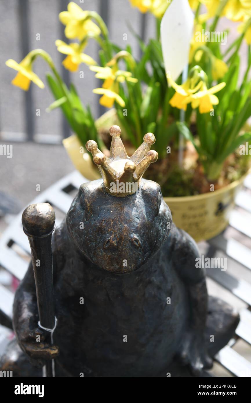 Loveable frog hi-res stock photography and images - Alamy