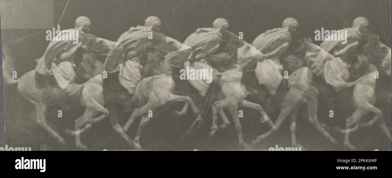 Arab Horse Gallup 1887 by Etienne-Jules Marey Stock Photo - Alamy