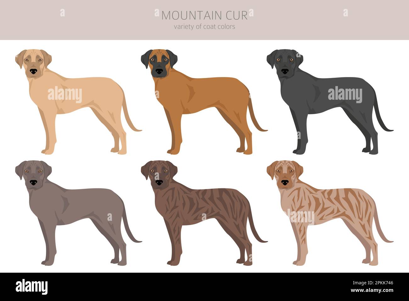 Can A Treeing Cur Guard A Home