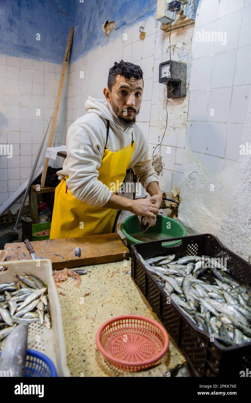 Moroccan sardines hi-res stock photography and images - Alamy