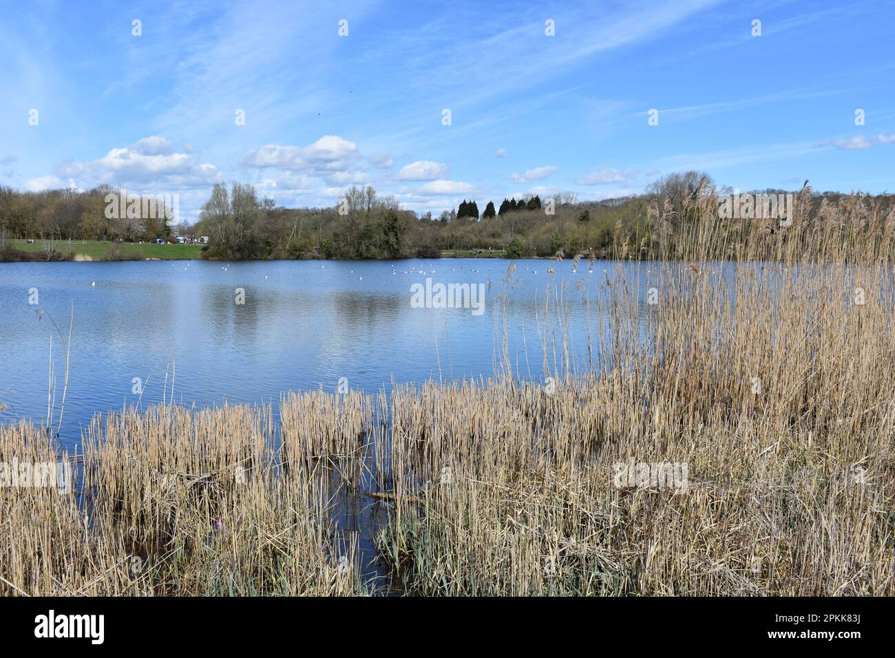 Cosmeston Lakes Country Park Stock Photo - Alamy
