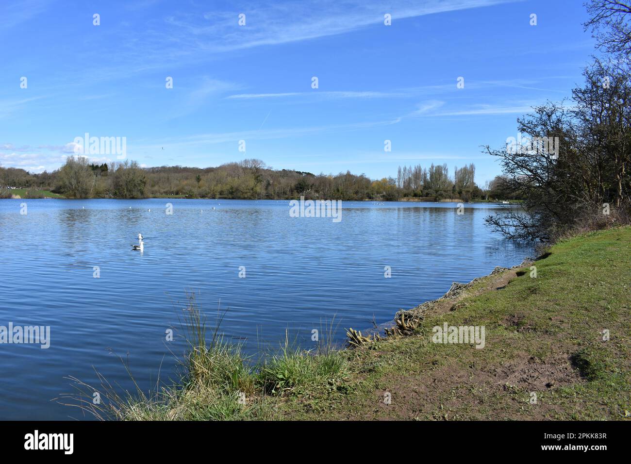 Cosmeston Lakes Country Park Stock Photo - Alamy