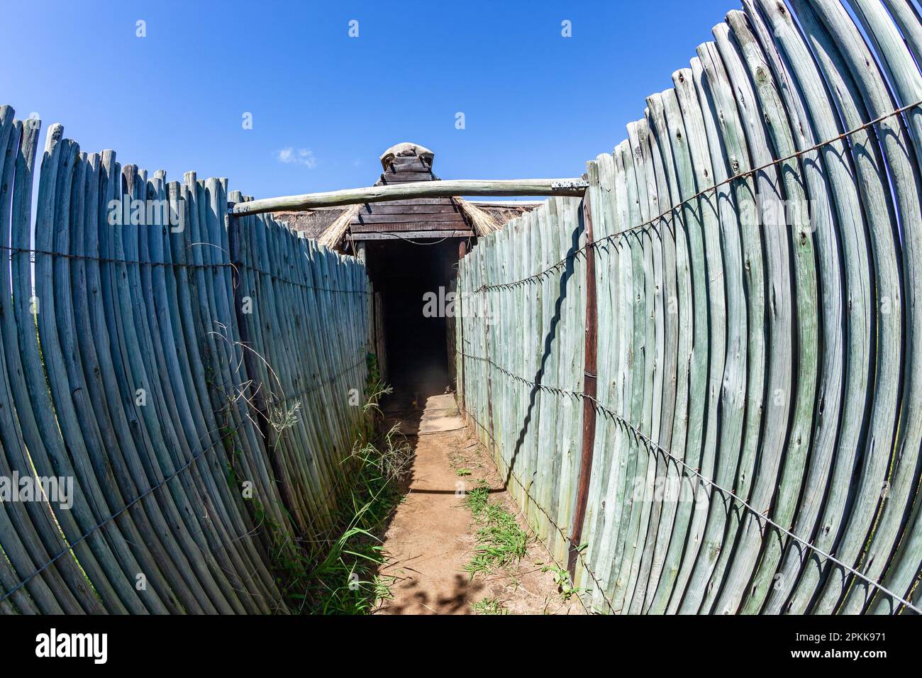 Wildlife bush narrow walking path with high wood pole fencing for lion ...
