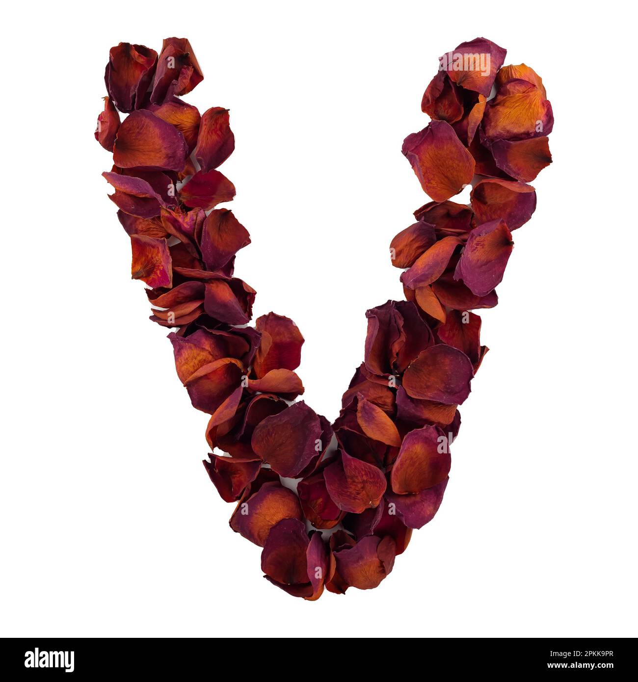 Letter V from dry red rose petals, isolated on white background. Nature ...
