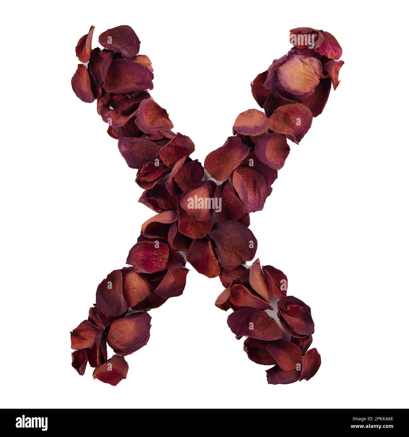 Letter X from dry red rose petals, isolated on white background. Nature ...