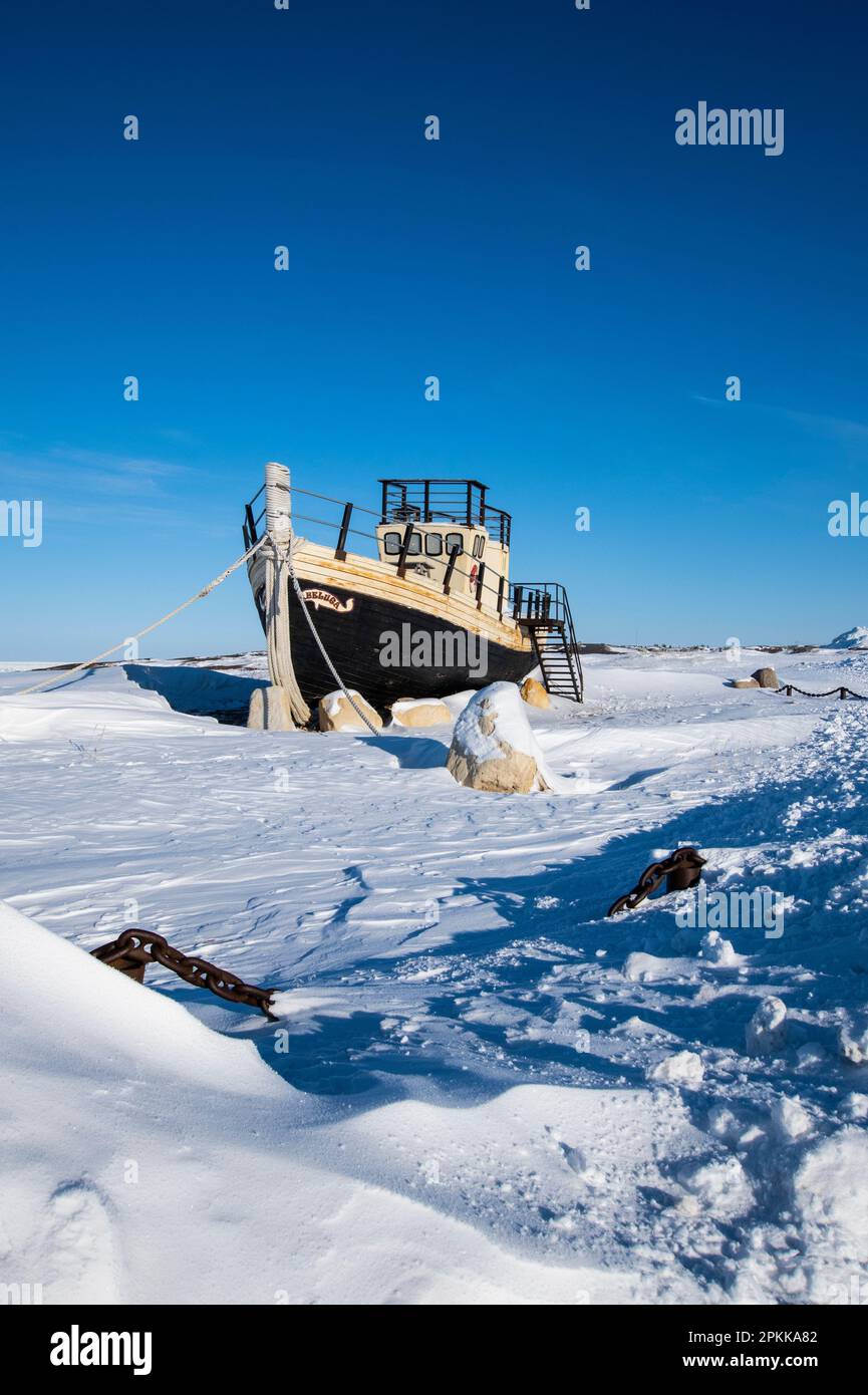 Canada churchill beluga boat hi-res stock photography and images - Alamy
