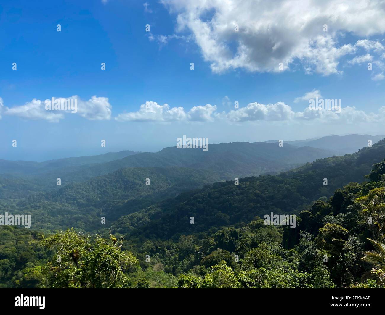 Expansive view of the lush, Northern Range rainforest located in ...