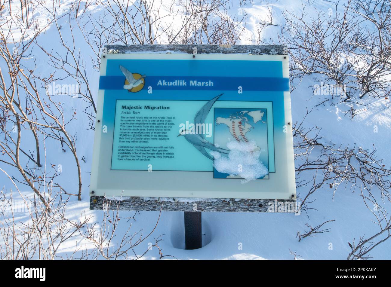 Akudlik Marsh sign in Churchill, Manitoba, Canada Stock Photo - Alamy