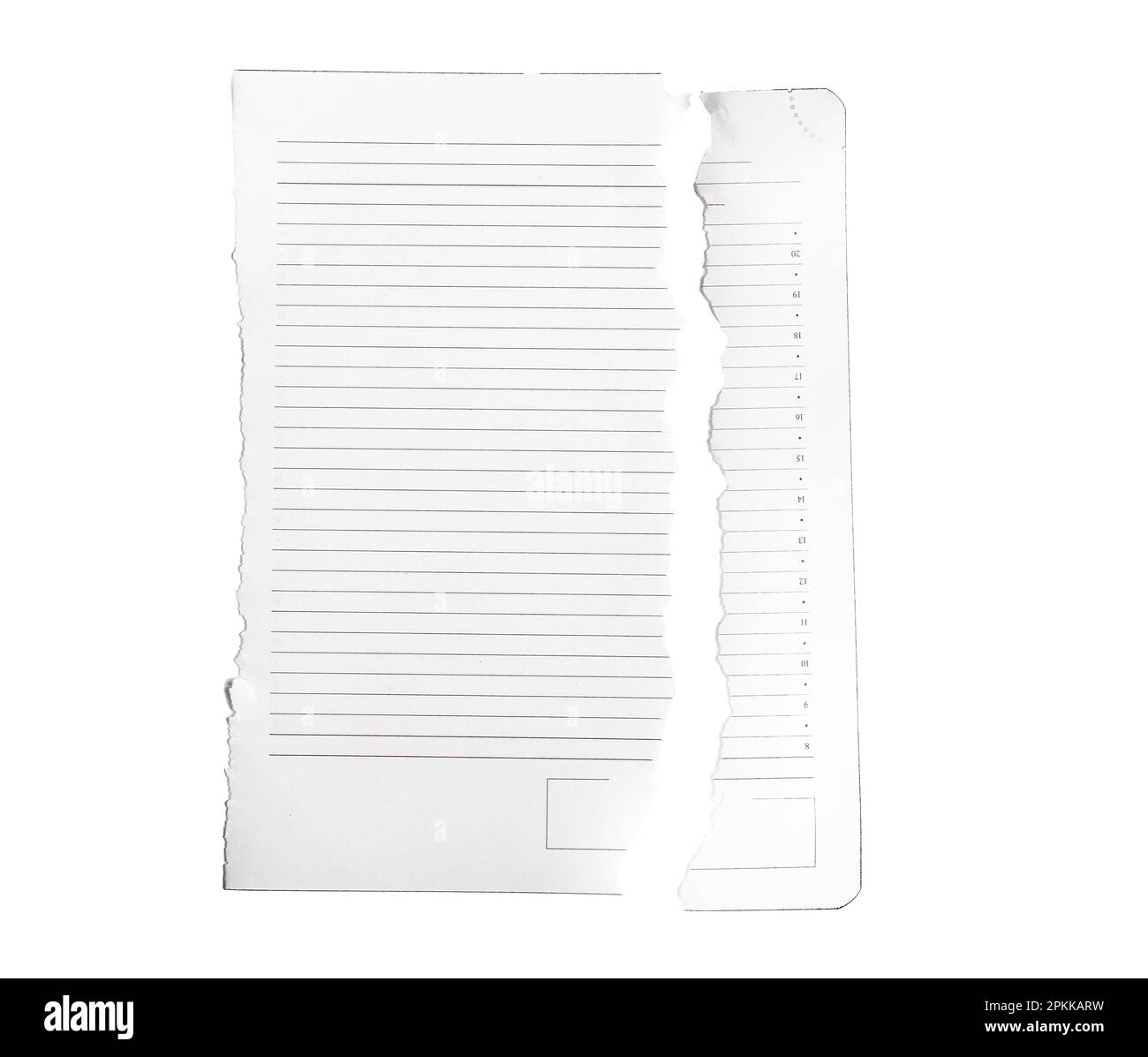 Torn paper sheet from planner, notepad page split ripped into two ...