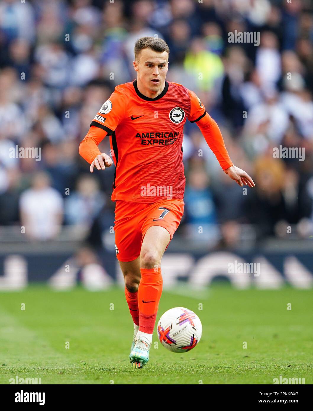 Solly march 2023 hi-res stock photography and images - Alamy