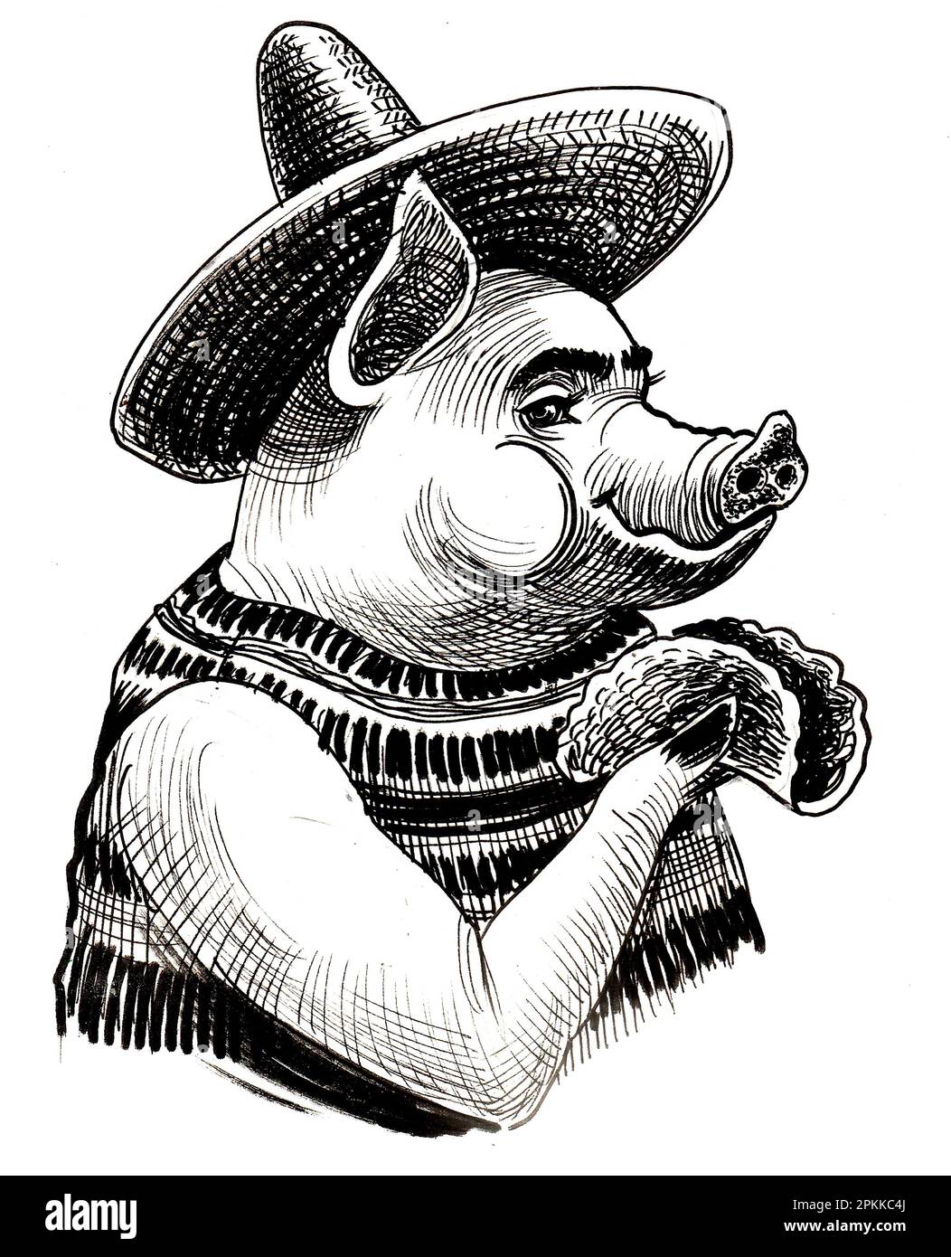 Pig in sombrero eating taco. Ink black and white drawing Stock Photo ...