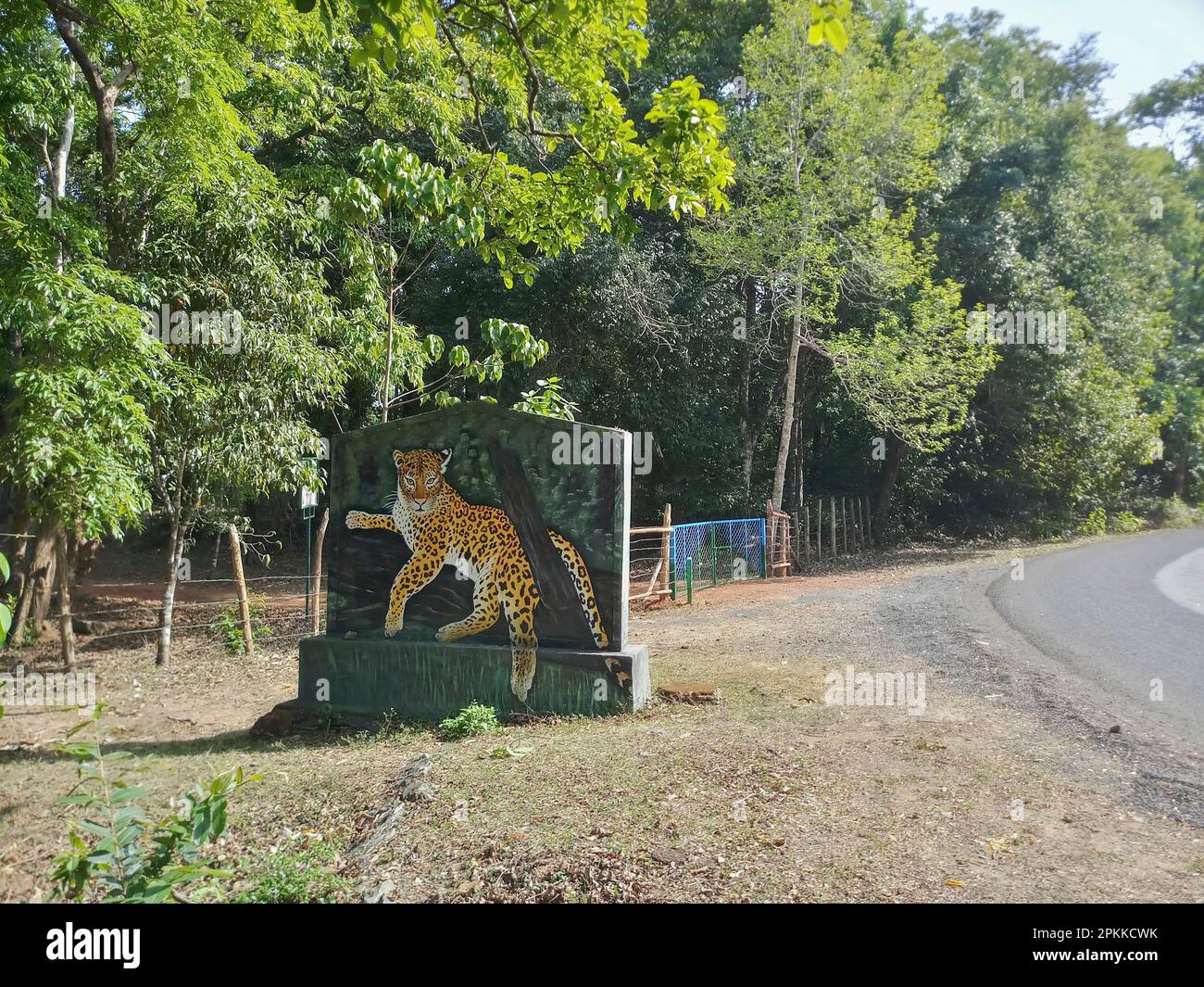 Dandeli, Karnataka, India 18th May 2019 : A tiger, Panthera tigris, on ...