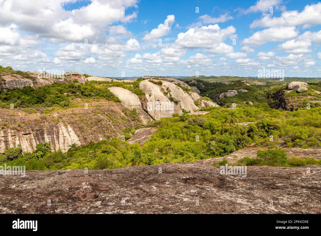 Geological formations and vegetation, Rincao do Inferno, Bage, Rio ...
