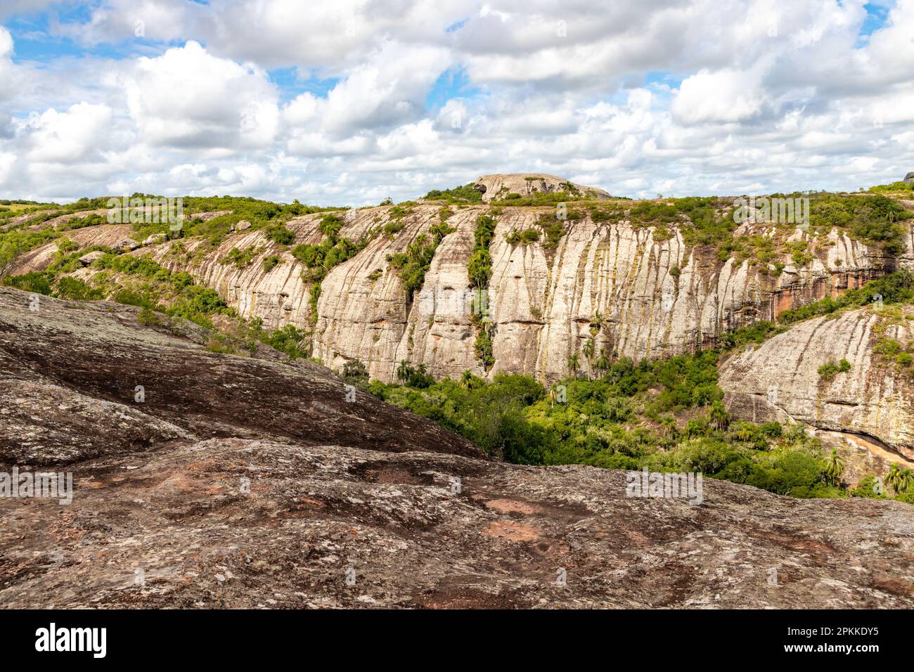 Geological formations and vegetation, Rincao do Inferno, Bage, Rio ...