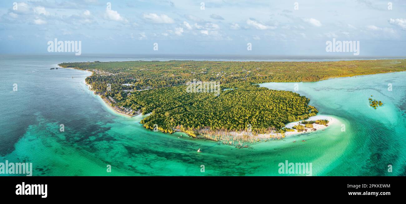 Sunset over lush mangrove forest washed by emerald green water of ...