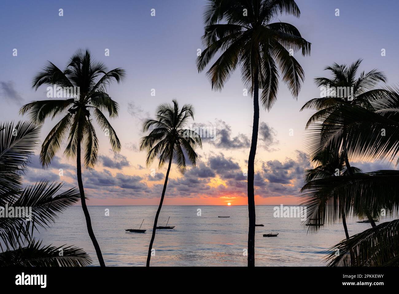 Silhouettes of palm trees with boats moored in the sea at dawn on ...