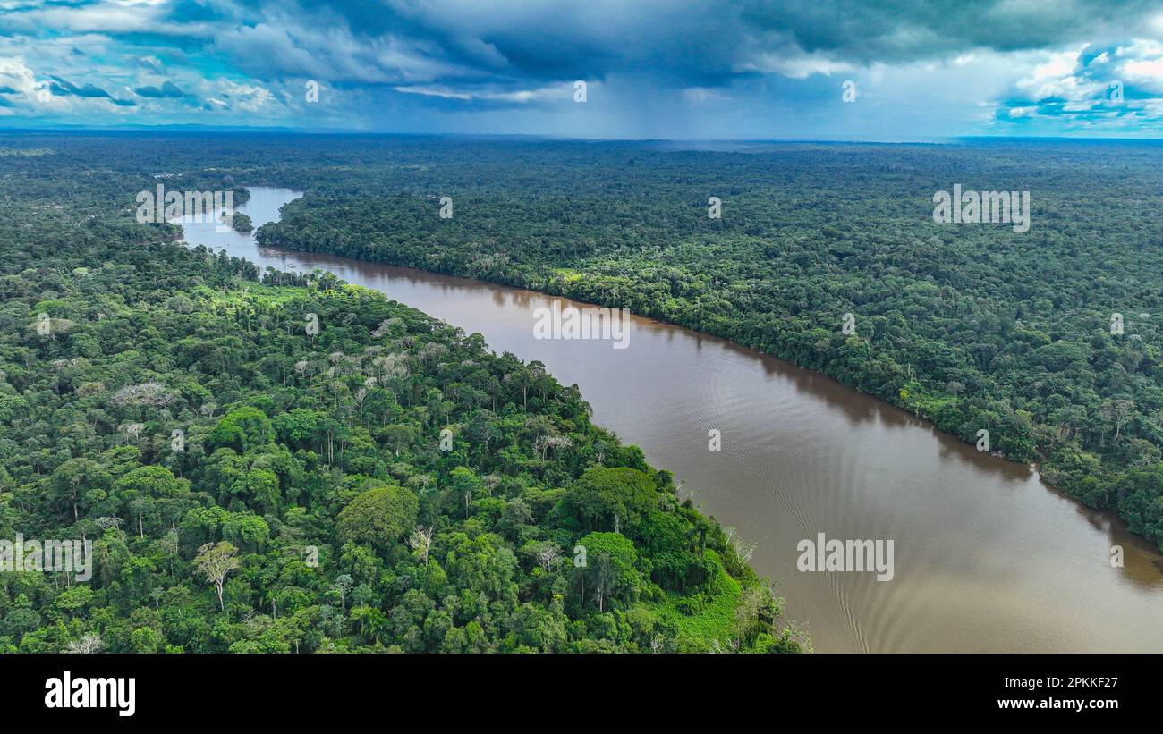 Aerial of the Suriname River at Pokigron, Suriname, South America Stock ...