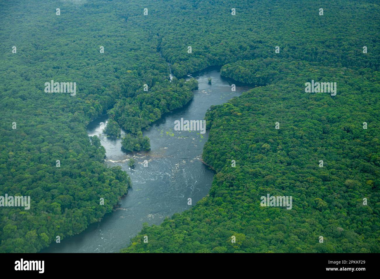 Aerial of the Potaro River, Guyana, South America Stock Photo - Alamy