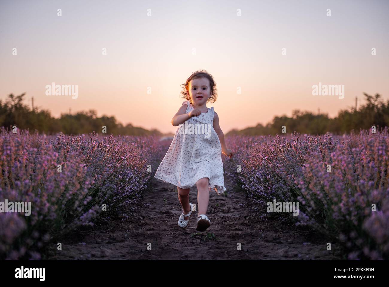 Little girl in flower dress runs across field of purple lavender among ...