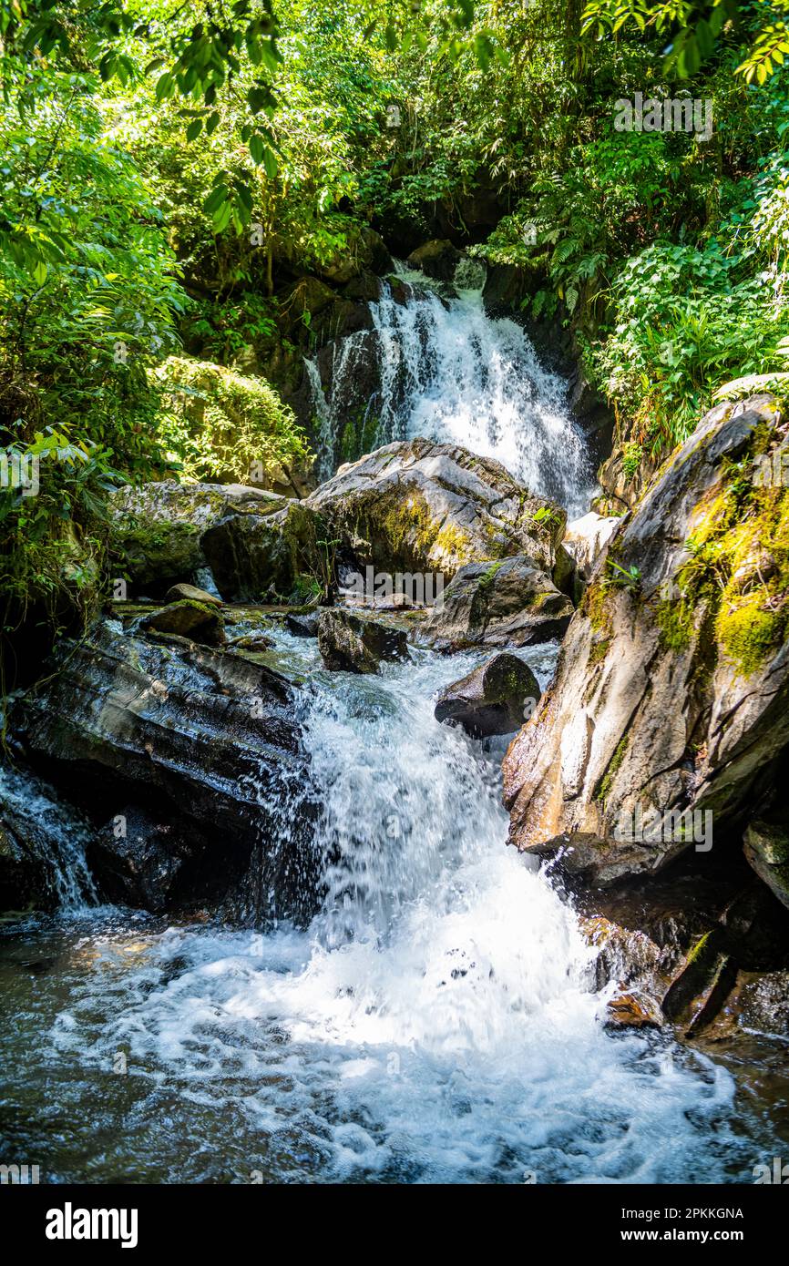 Couto waterfall, Atlantic Forest South-East Reserves, UNESCO World ...