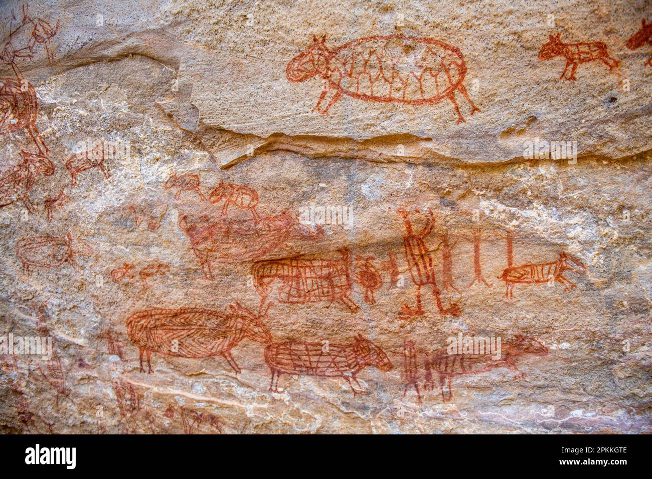 Rock art painting at Pedra Furada, Serra da Capivara National Park ...
