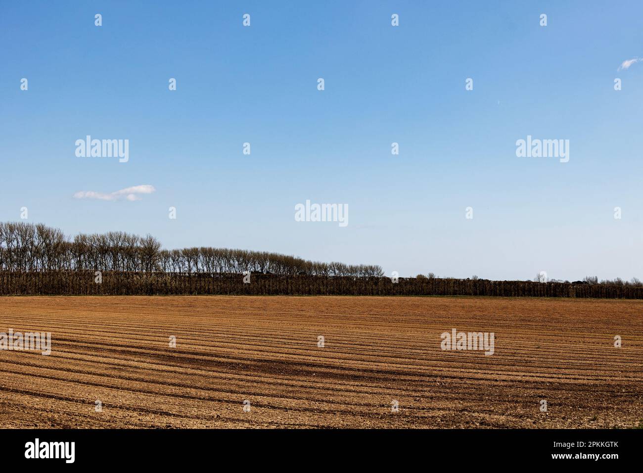 Sussex farming hi-res stock photography and images - Alamy
